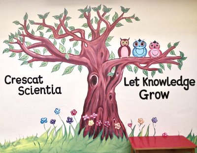 Welcome from the Education Director | The Owl's Nest International School